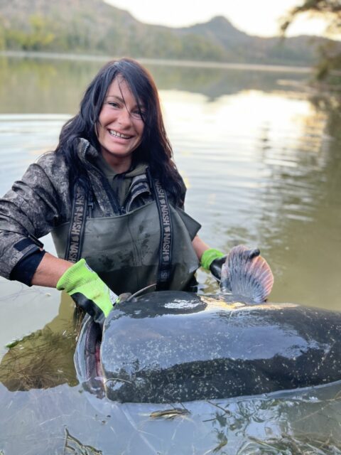 catfish and carp holidays on the Ebro